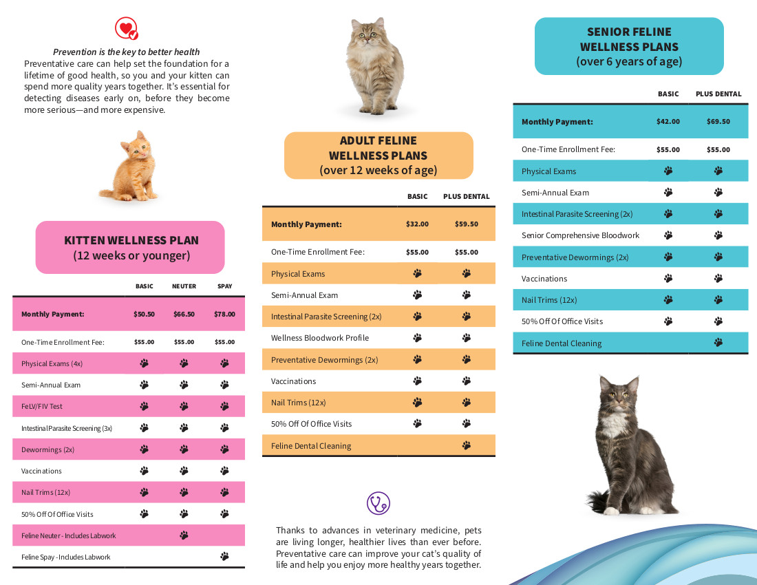 Charlotte Pet Wellness Plans | Armstrong Animal Clinic